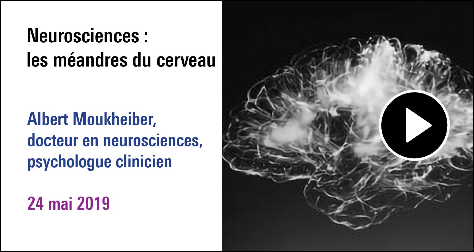 Neurosciences : les méandres du cerveau - Replay