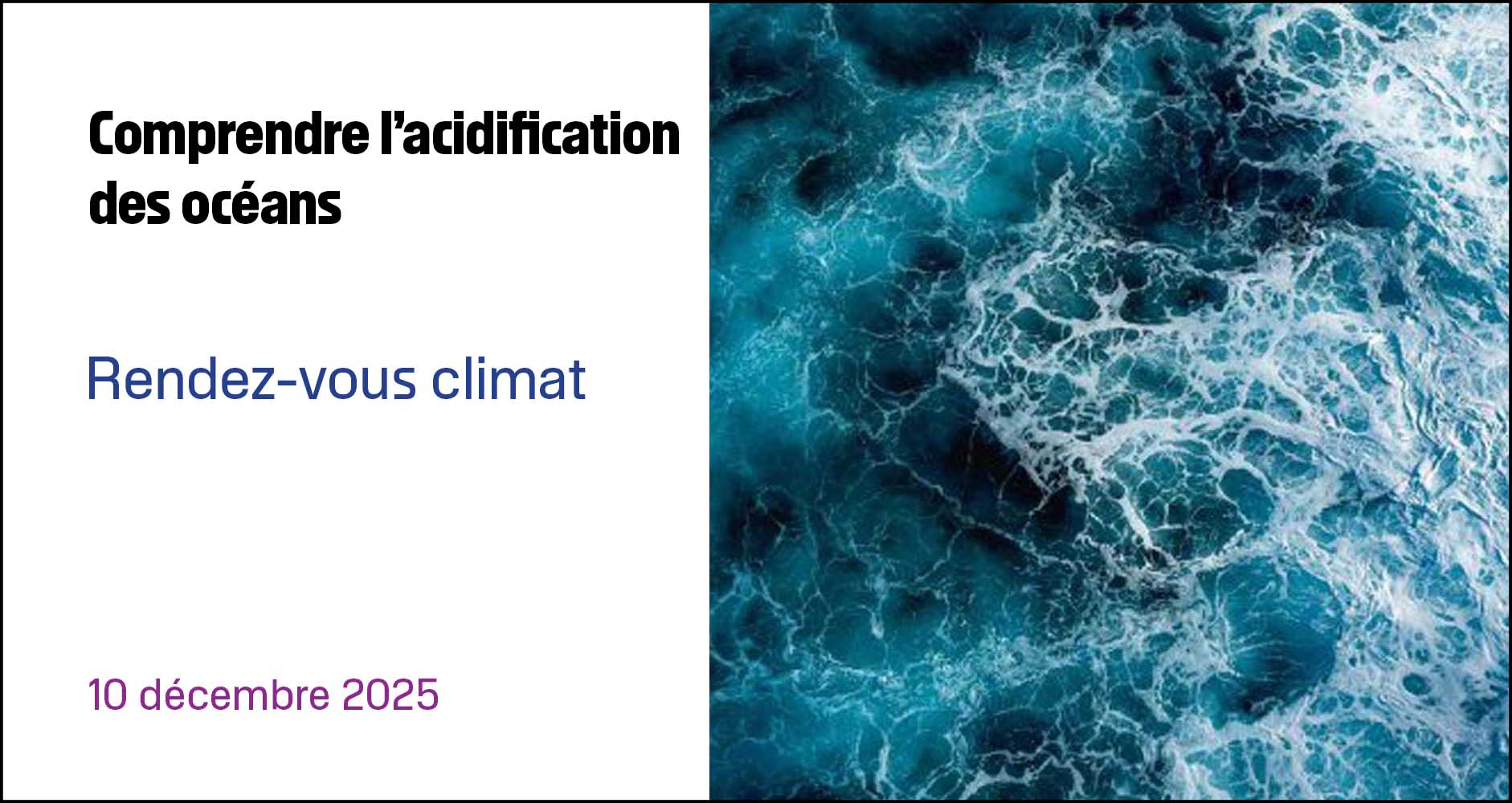 Comprendre l'acidification des océans - Replay